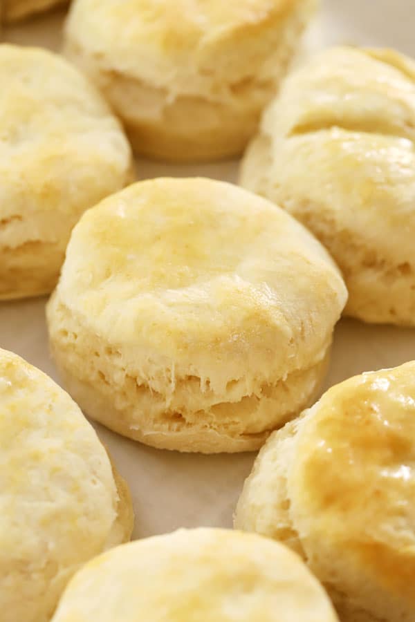 Homemade Flaky Biscuit Recipe Recipe - The Carefree Kitchen