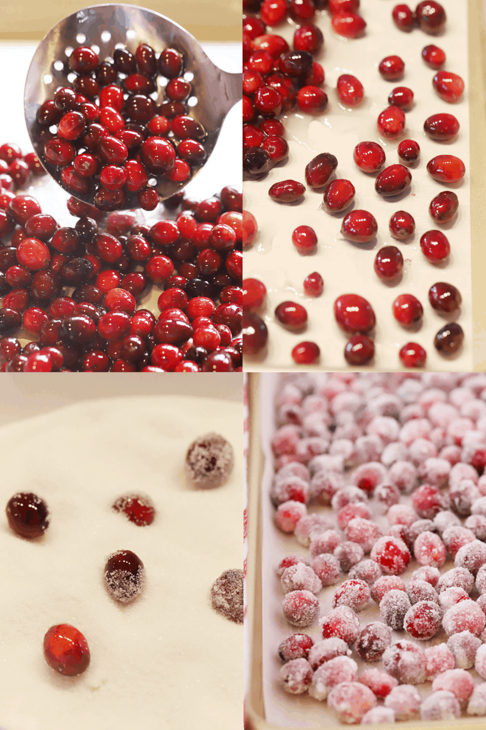 Sugared Cranberries Recipe - The Carefree Kitchen