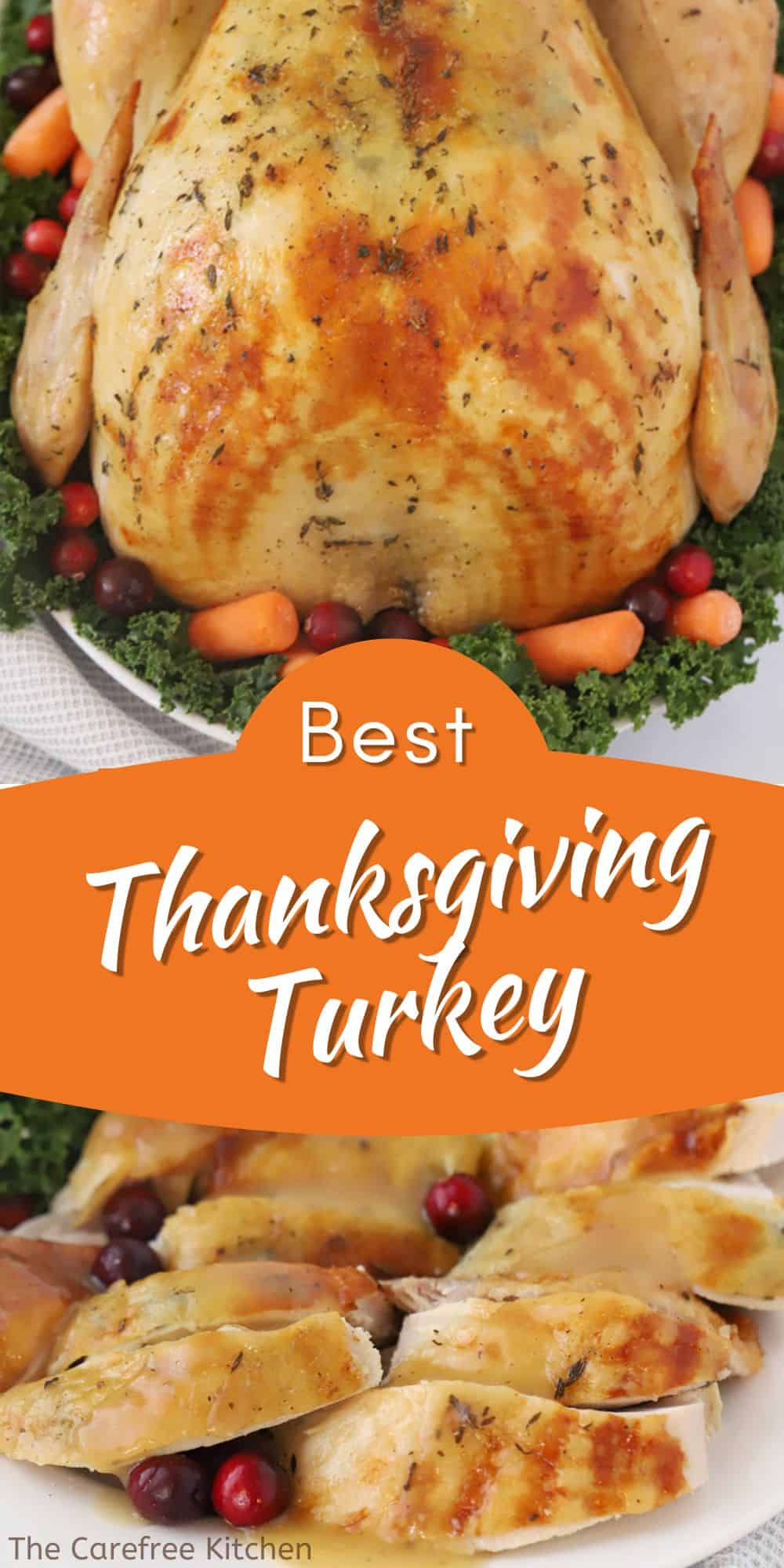 Best Roasted Thanksgiving Turkey - The Carefree Kitchen