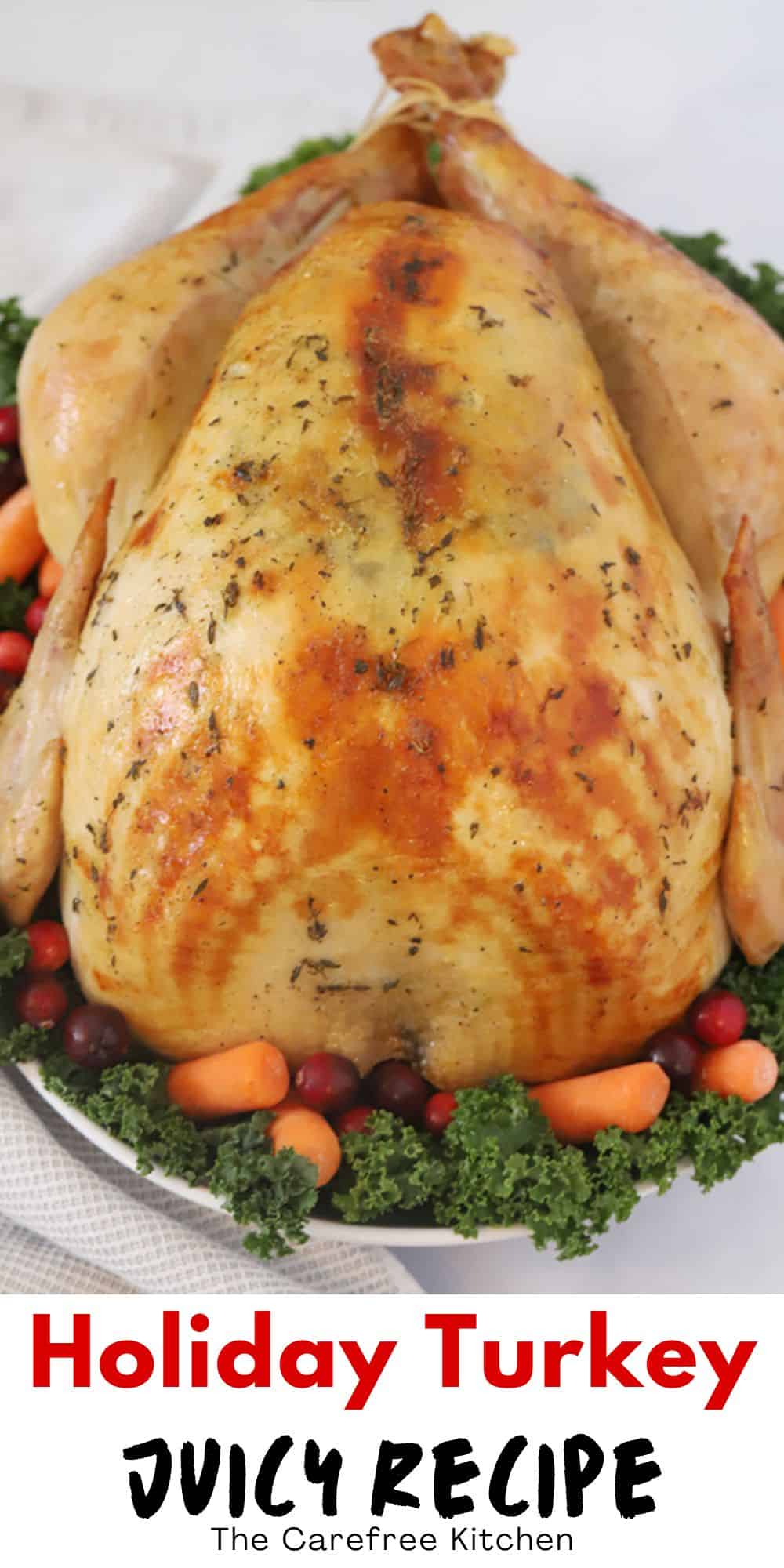 Best Roasted Thanksgiving Turkey - The Carefree Kitchen