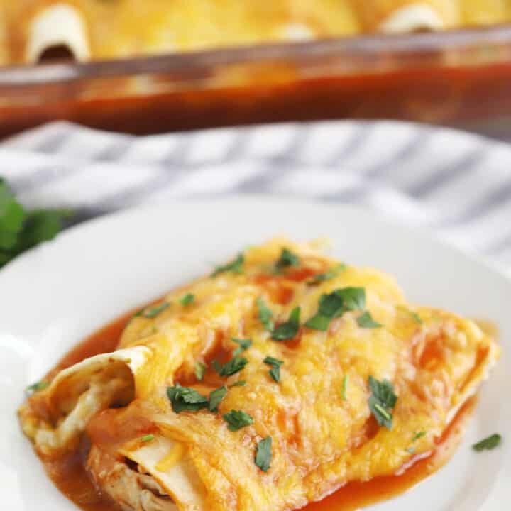 Red Chicken Enchiladas Recipe - The Carefree Kitchen