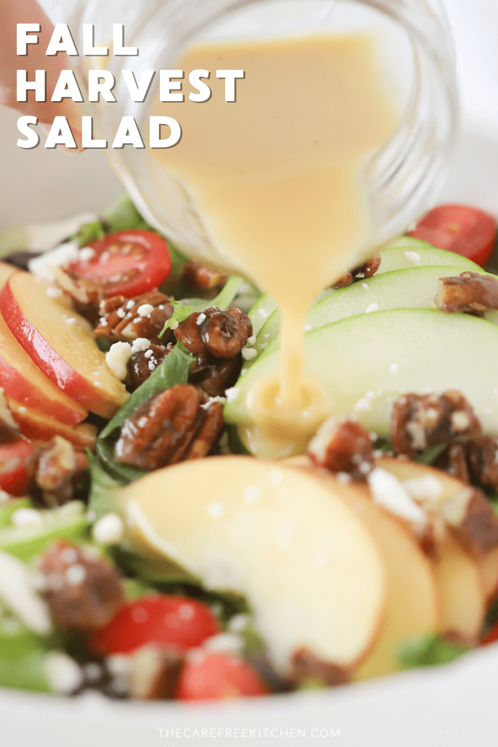 Fall Harvest Salad Recipe - The Carefree Kitchen
