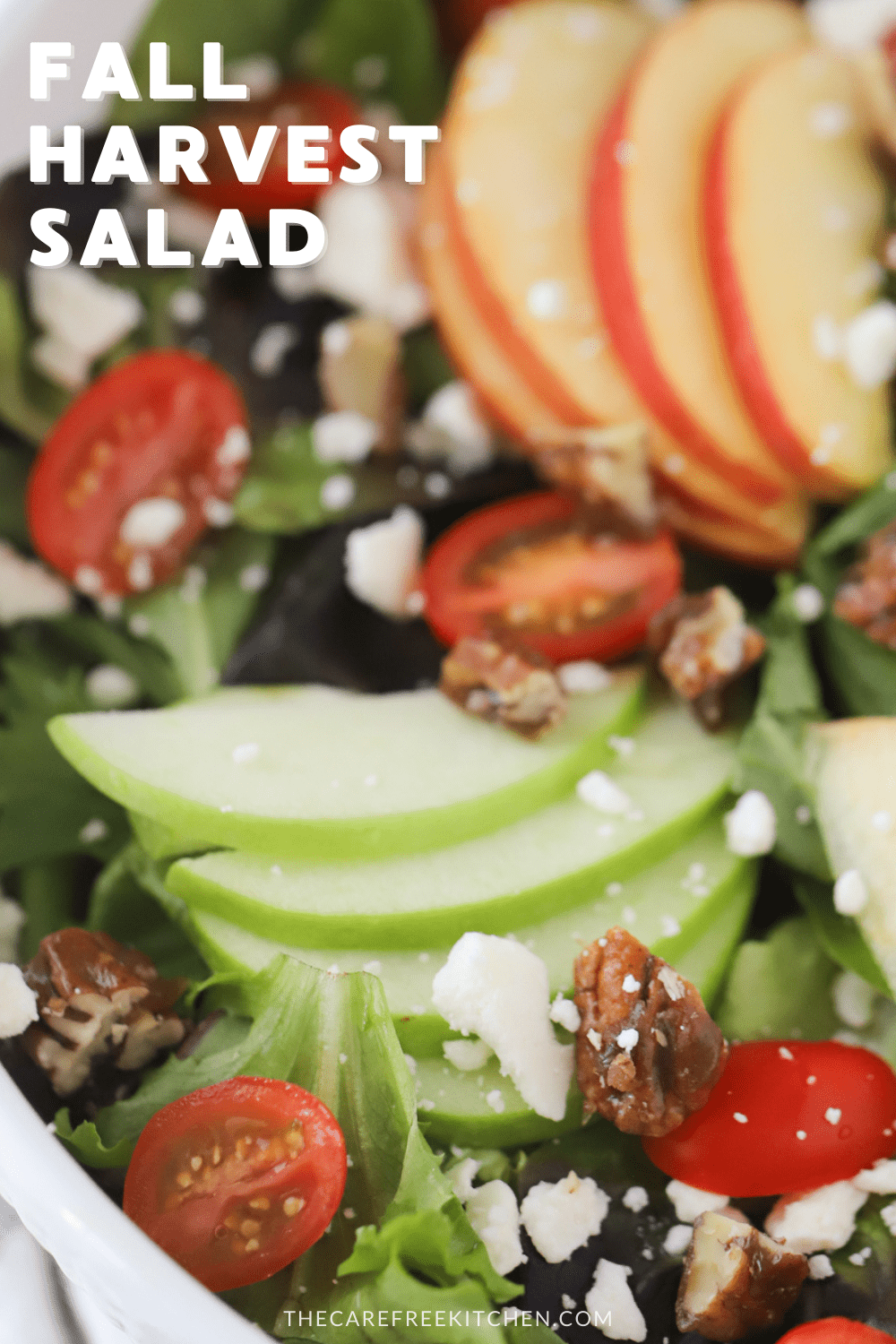 Fall Harvest Salad Recipe - The Carefree Kitchen