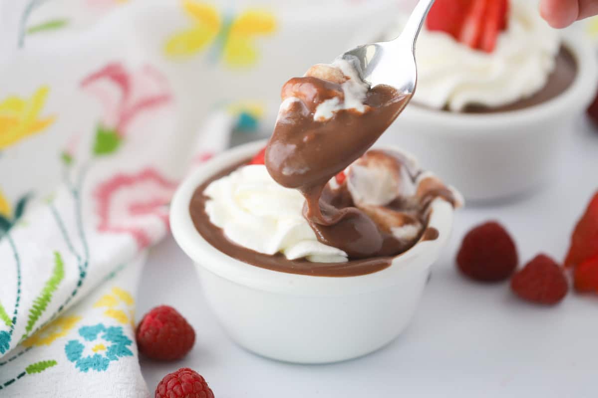 Homemade Chocolate Pudding Recipe - The Carefree Kitchen