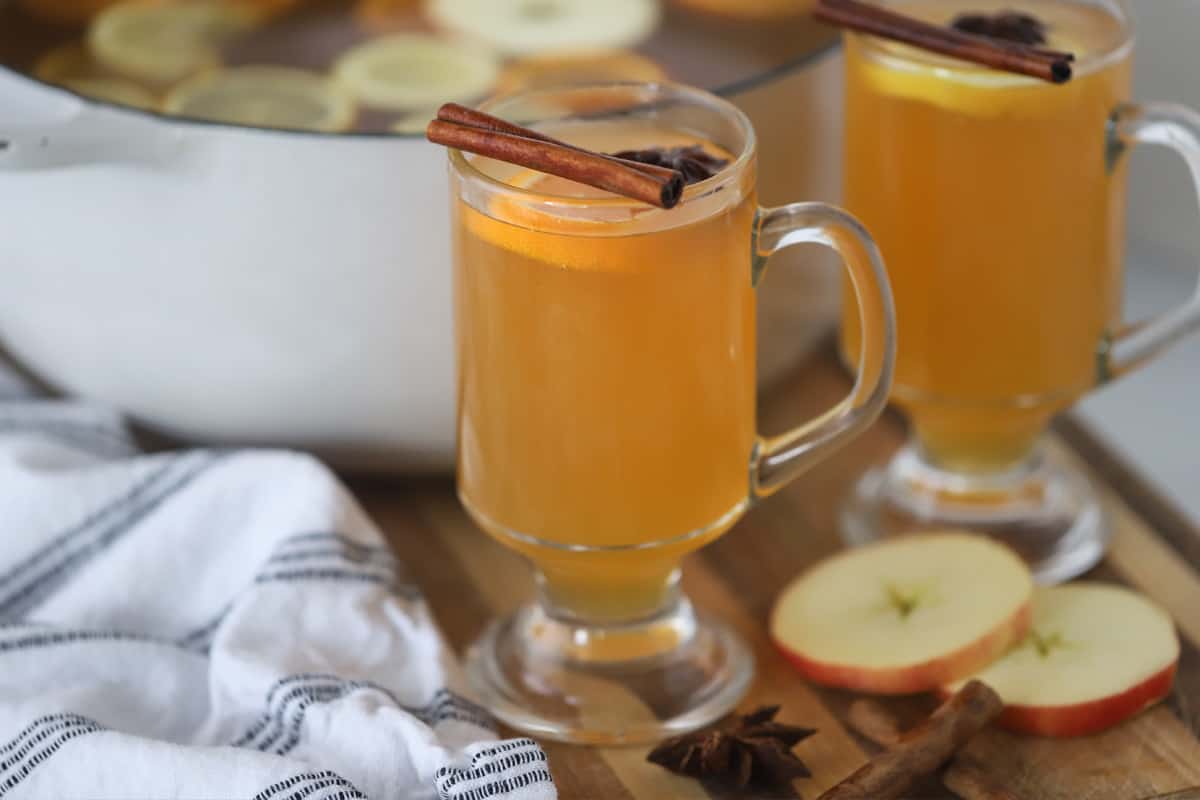 Hot Mulled Apple Cider - The Carefree Kitchen