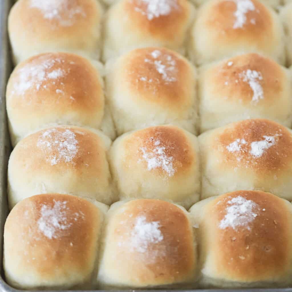 Potato Rolls Recipe - The Carefree Kitchen