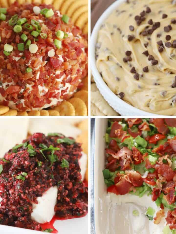 Easy Appetizer Recipes - The Carefree Kitchen
