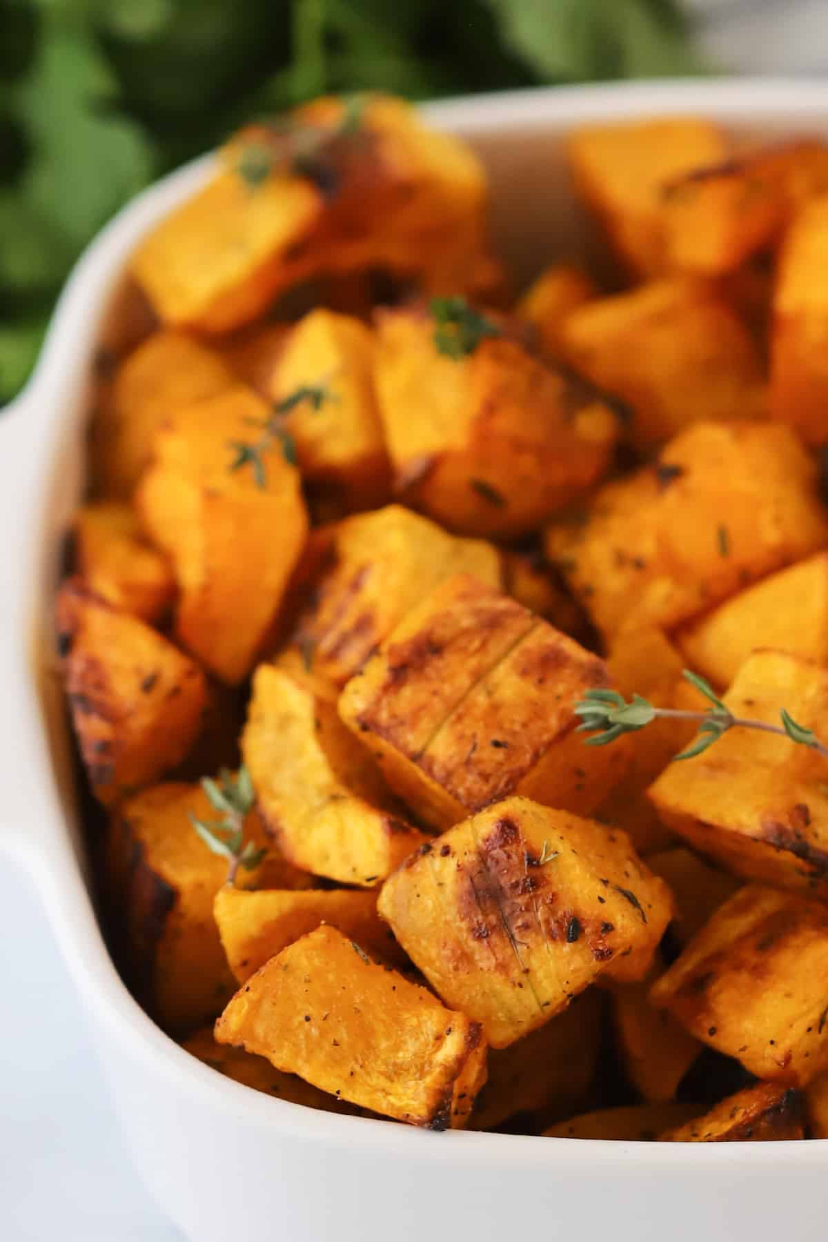 Oven Roasted Squash Recipe - The Carefree Kitchen