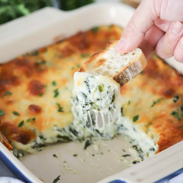 Warm Spinach Dip Recipe - The Carefree Kitchen