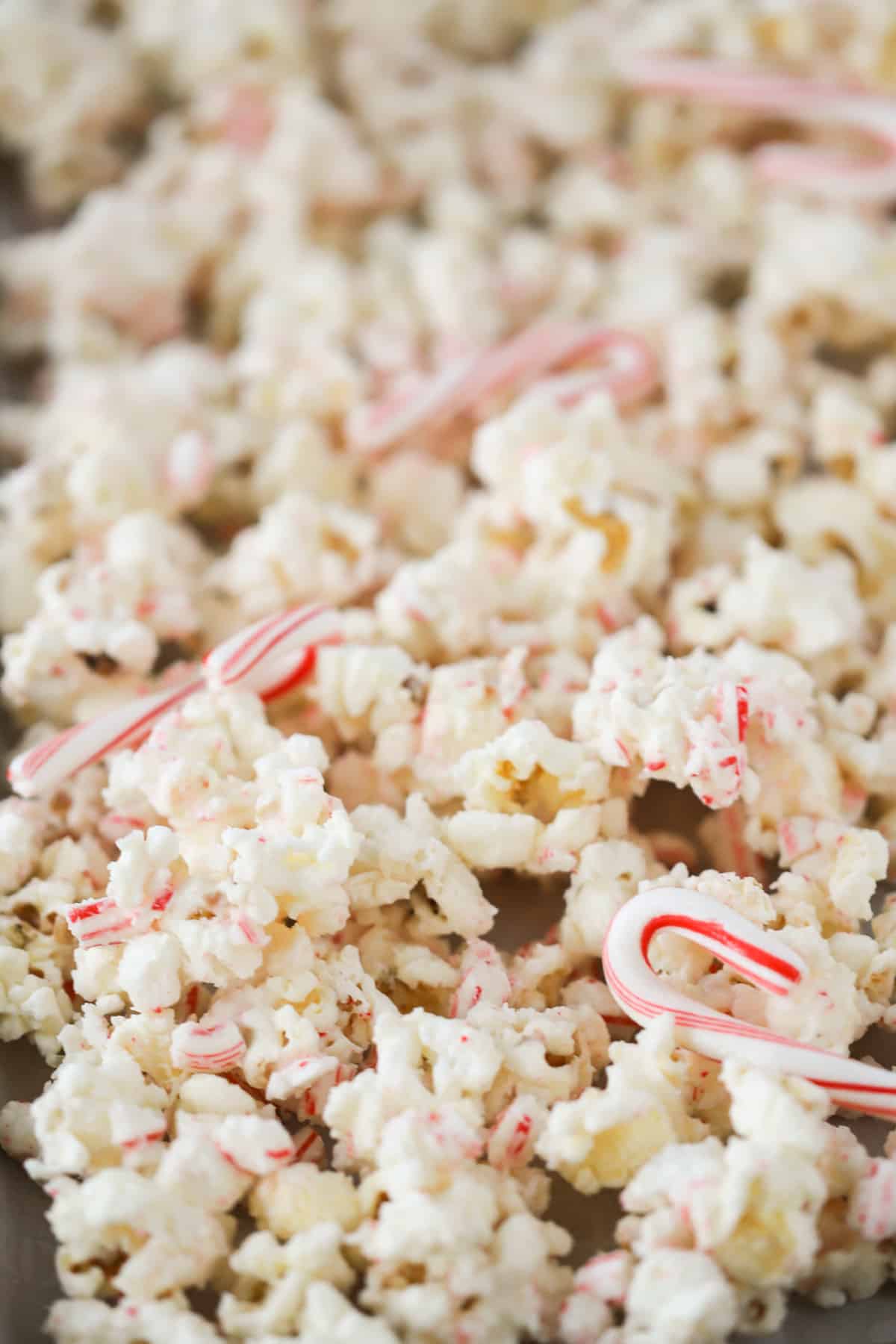 Candy Cane Popcorn - The Carefree Kitchen