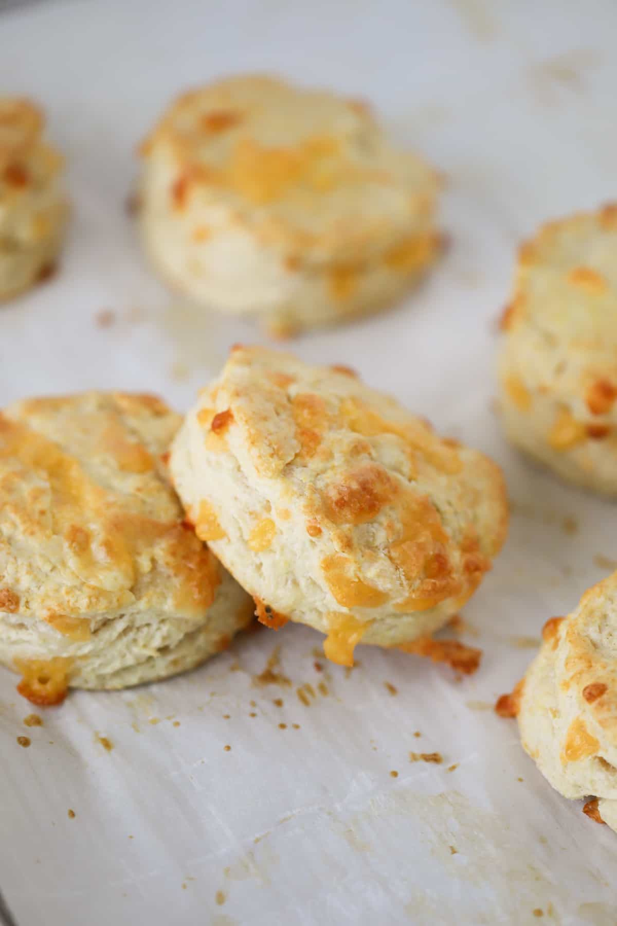 Cheddar Biscuits Recipe - The Carefree Kitchen