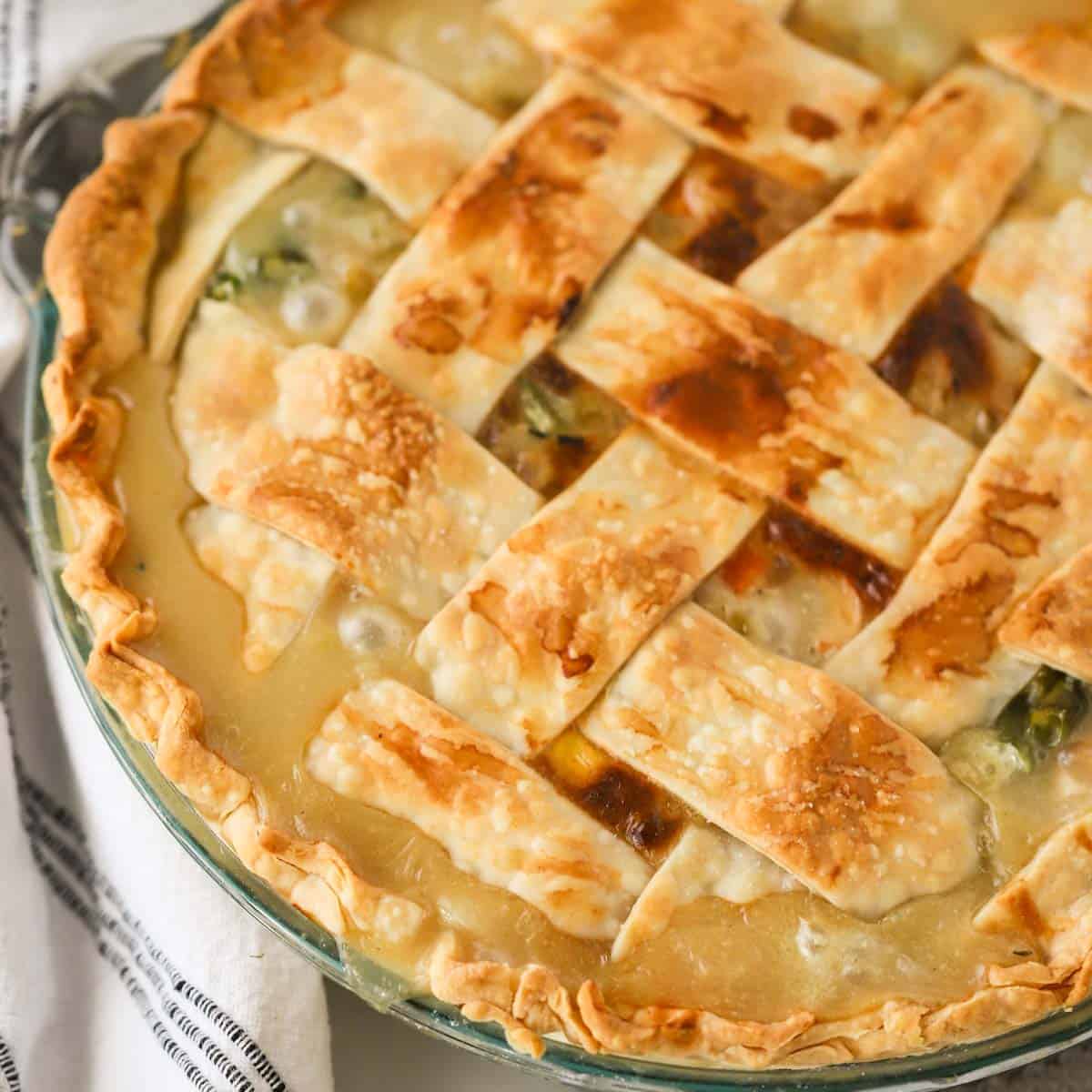 Best Chicken Pot Pie Recipe from Scratch - The Carefree Kitchen