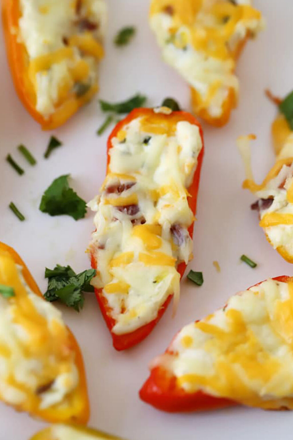 Cream Cheese Stuffed Mini Peppers - The Carefree Kitchen