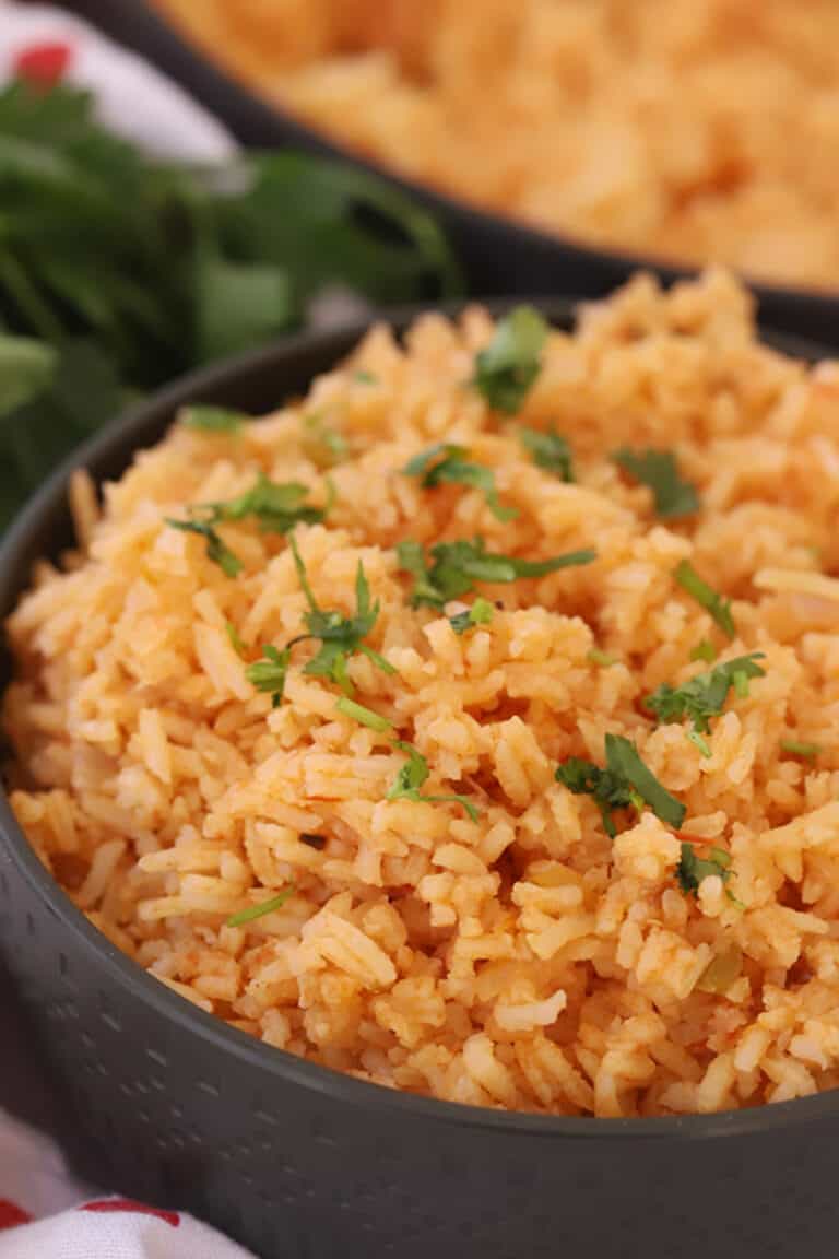 Spanish Rice Recipe with Salsa- The Carefree Kitchen