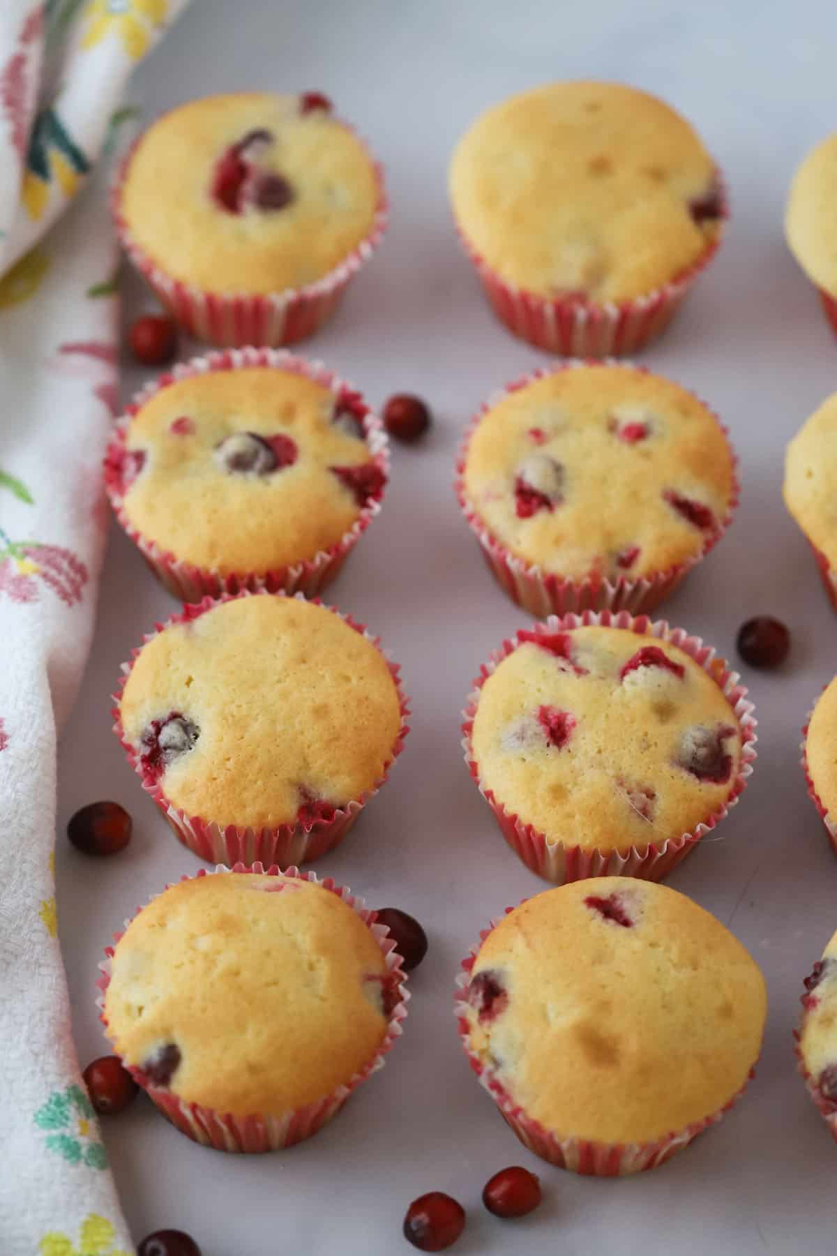 Orange Cranberry Muffins Recipe - The Carefree Kitchen