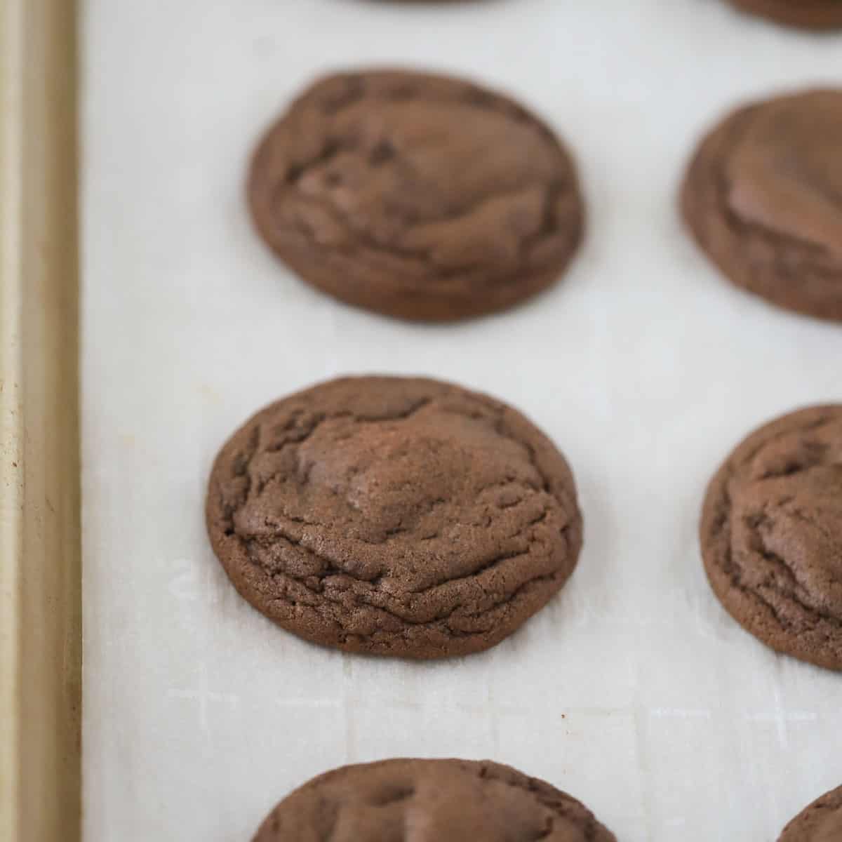 Chewy Chocolate Cookies - The Carefree Kitchen