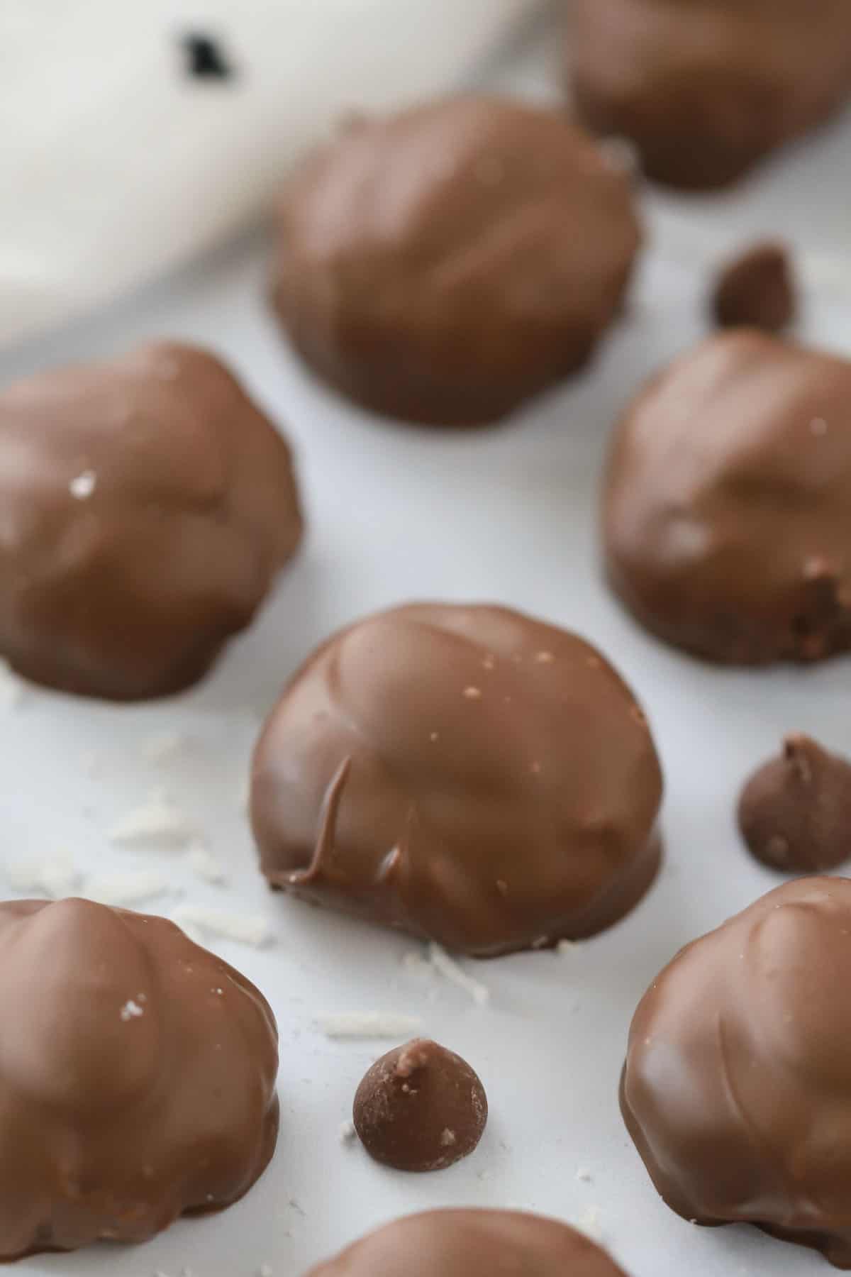 Homemade Almond Joy Recipe - The Carefree Kitchen